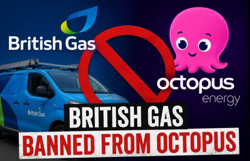 British Gas Ban Octopus: What the Energy Feud Means for You?